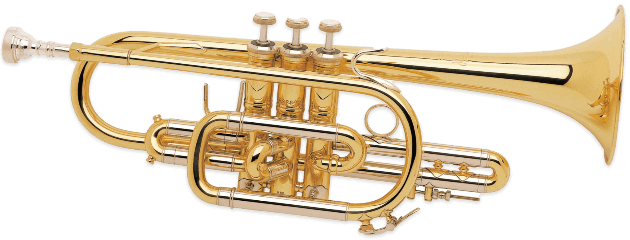 Wiggers Muziek | Specialist in blaasinstrumenten